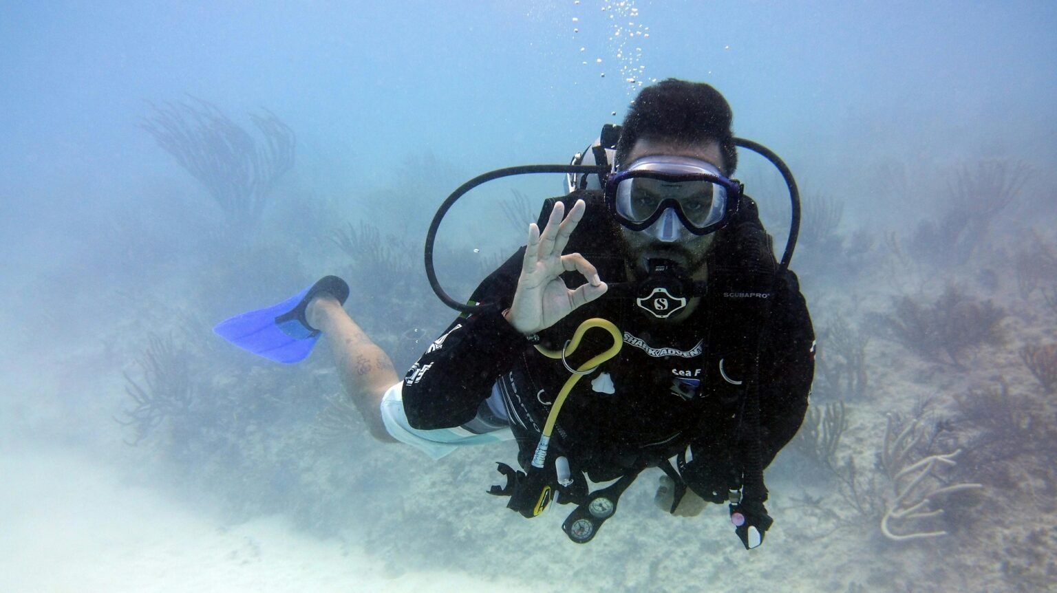 Top Scuba Diving Adventures in Havelock, Andaman Islands