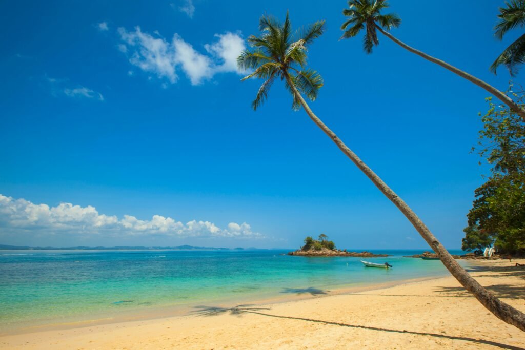 Elephant Beach Water Activities | Elephant Beach Activities