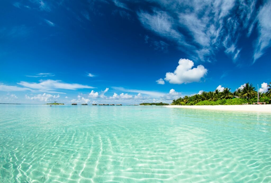 Elephant Beach Water Activities | Elephant Beach Activities